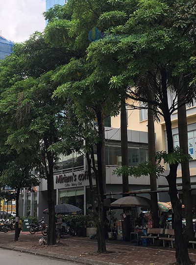 Tòa nhà Detech số 8 Tôn Thất Thuyết - Cho thuê văn phòng Nam Từ Liêm